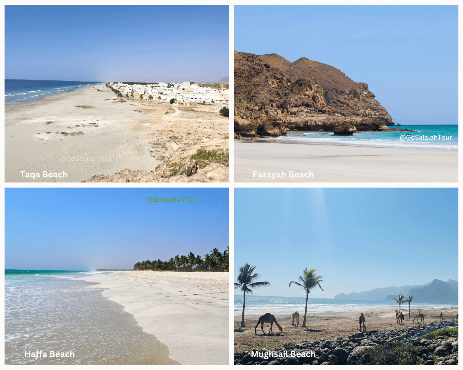 Thumrait: A rich history in Dhofar - Go Salalah Tours & Travel